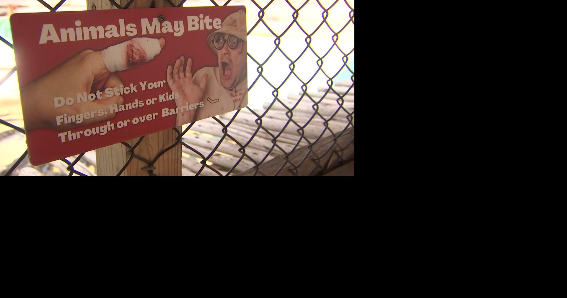 Experience hands-on alligator hatching at Glades County's Gatorama ...