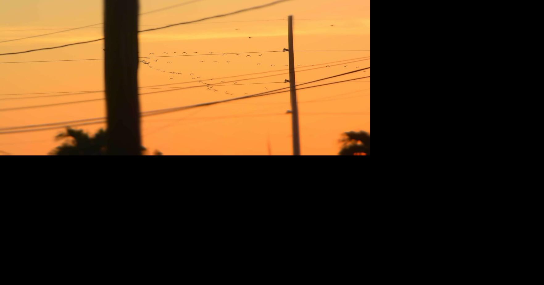 WINK WEATHER WATCHERS. 1-6-26 | Weather Watcher Photos | winknews.com
