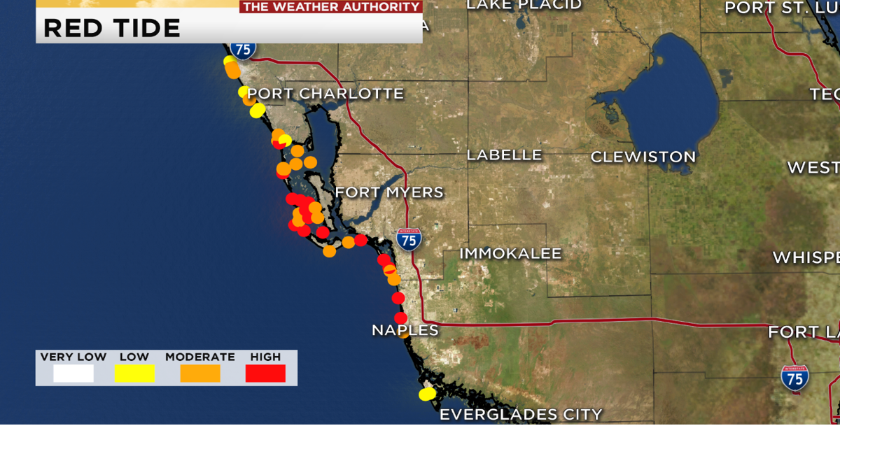 Red tide concentrations increase along SWFL coast | SWFL Water Crisis ...