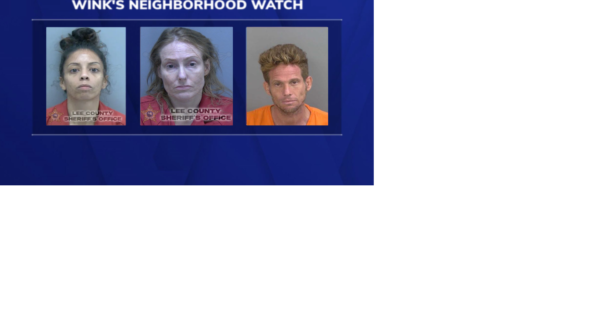 WINK Neighborhood Watch: Illegal gun possession, Kate Spade theft and ...