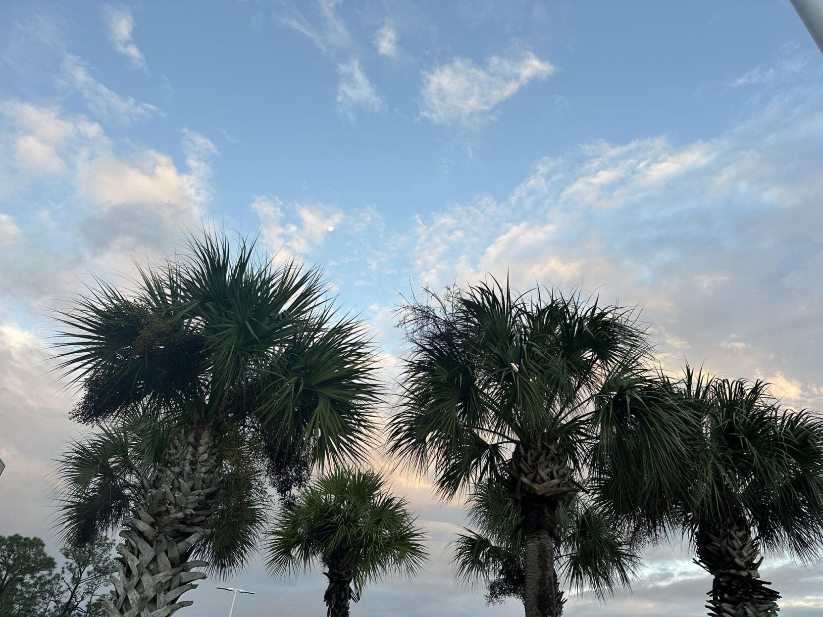 WINK WEATHER WATCHERS || DEC. 8, 2025 | Weather Watcher Photos ...