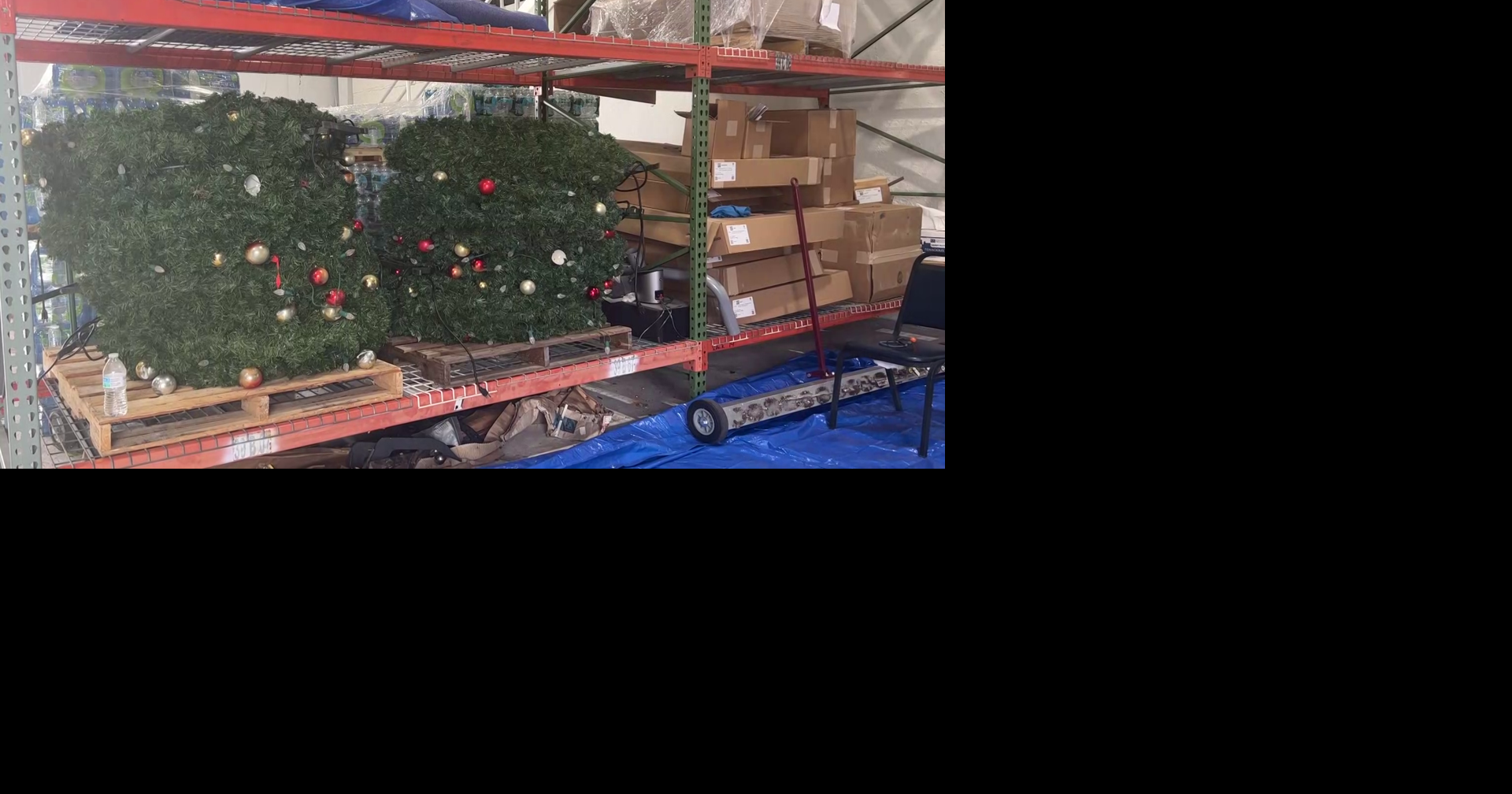 Community unites to rescue Punta Gorda’s tree lighting tradition ...