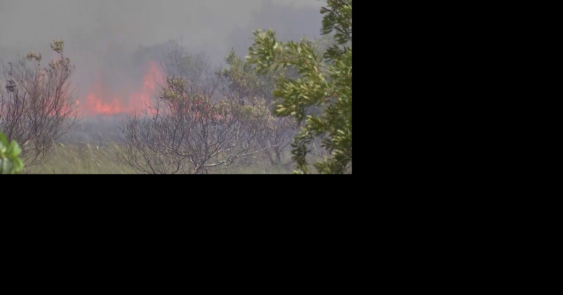 Big Sandy Fire rages over 15,000 acres | Collier County | winknews.com