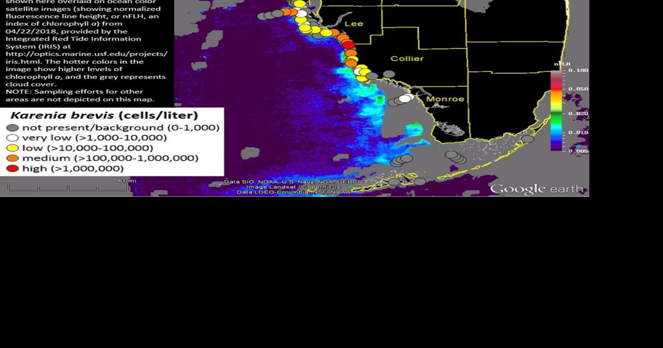 Red tide prompts health hazard notice for SWFL beaches | Collier County ...