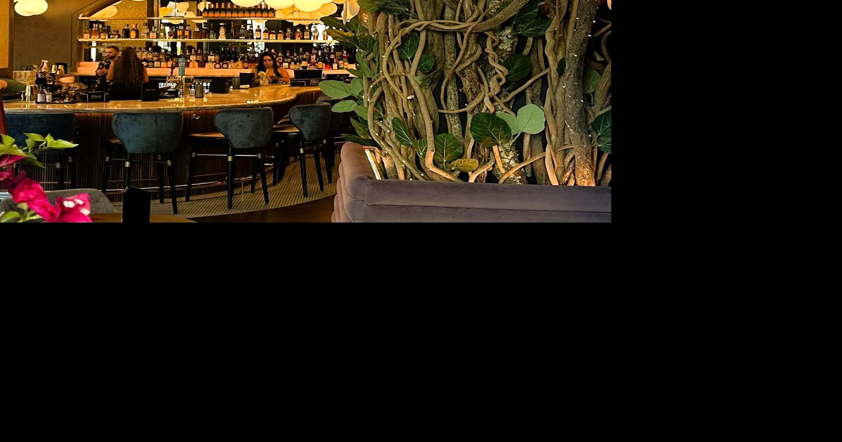 Beeline cocktail bar launches at Mercato in North Naples | Gulfshore ...