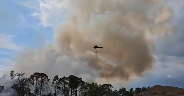 Wildfire near Burnt Store Meadows is 10% contained, officials say ...