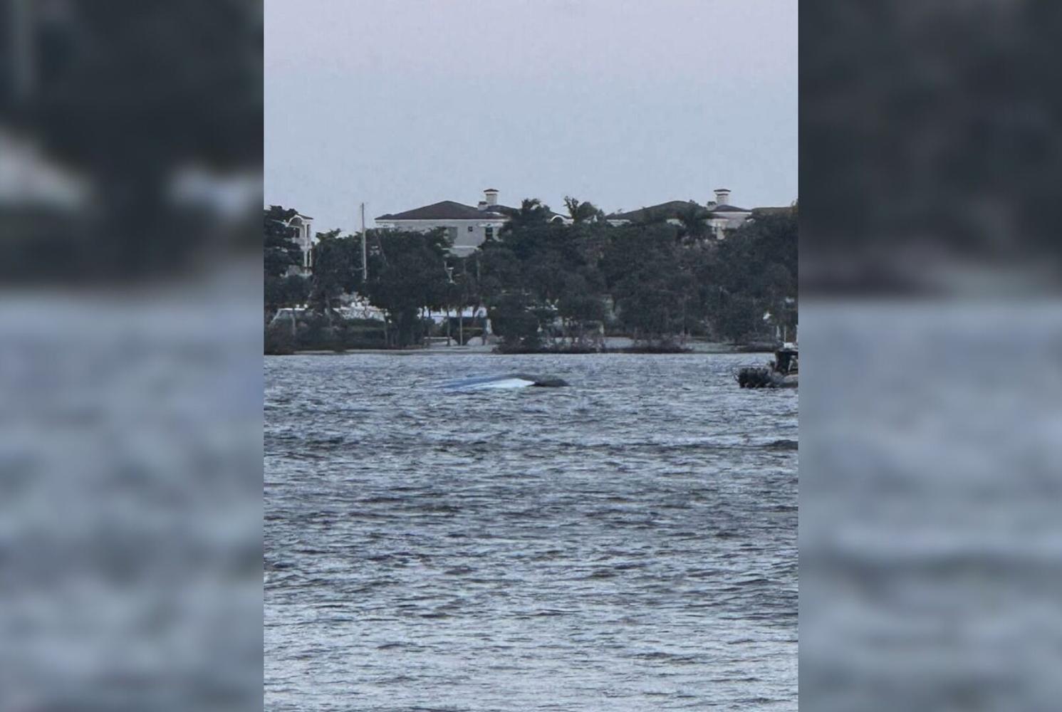 3 dead, 1 injured following catamaran crash in Cape Coral | Lee County ...