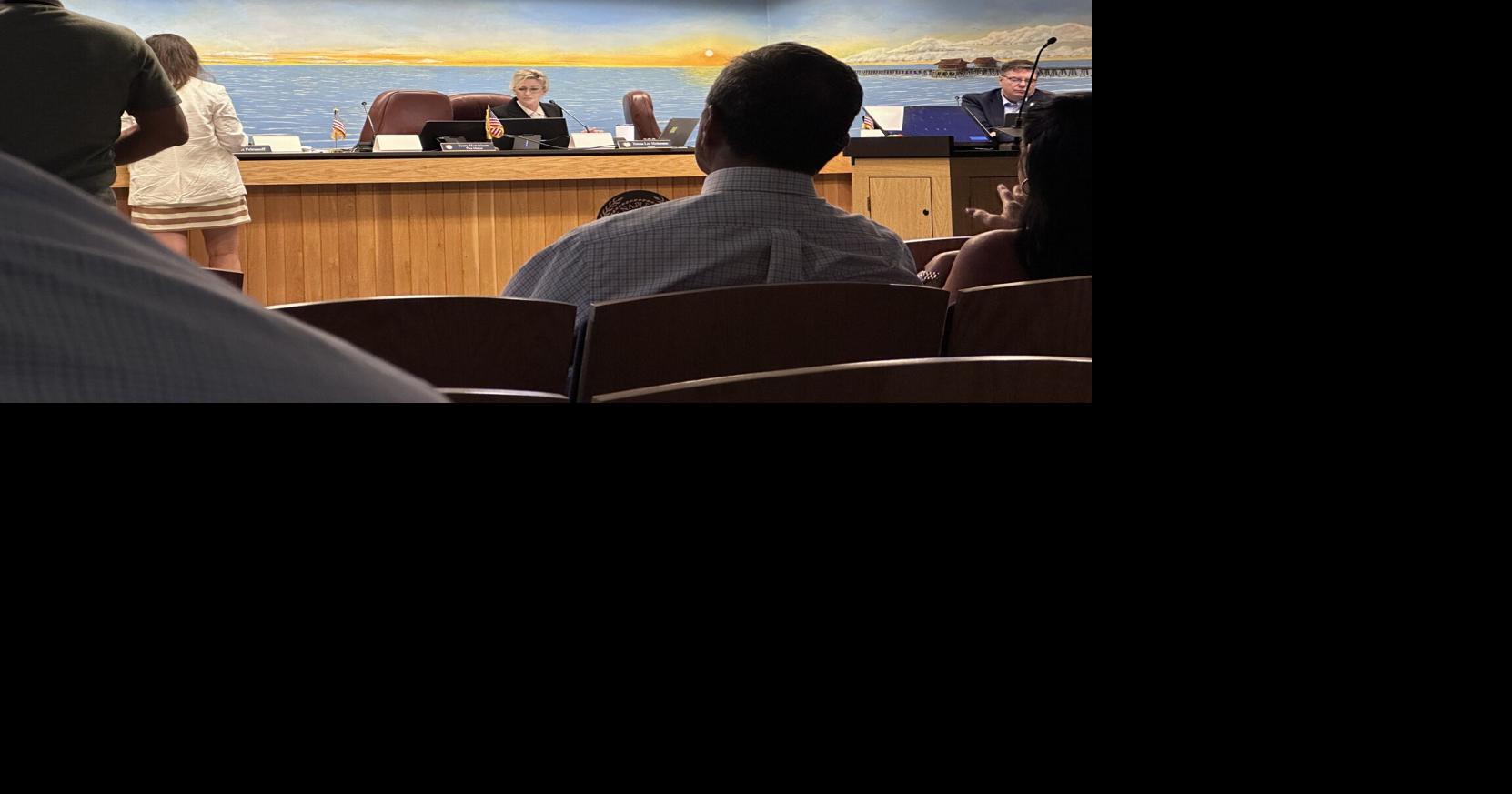 Naples Mayor Teresa Heitmann publicly speaks about DUI arrest | Collier ...