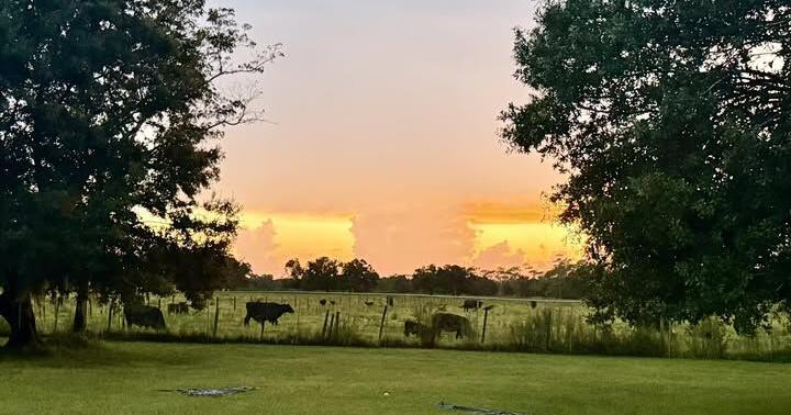 WINK Weather Watchers. 8-7-25 | Weather Watcher Photos | winknews.com