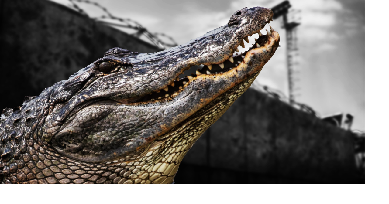 Controversial 'Alligator Alcatraz' opens in Everglades amid legal ...