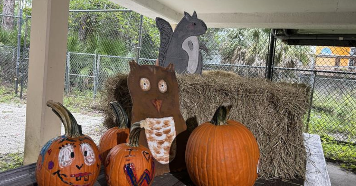 Calusa Nature Center to host friendly fall festival for families | WINK ...