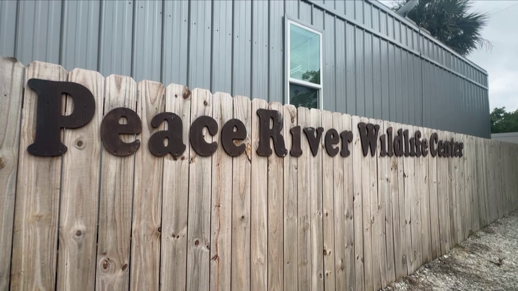Peace River Wildlife Center prepares for a long awaited upgrade | SWFL.io