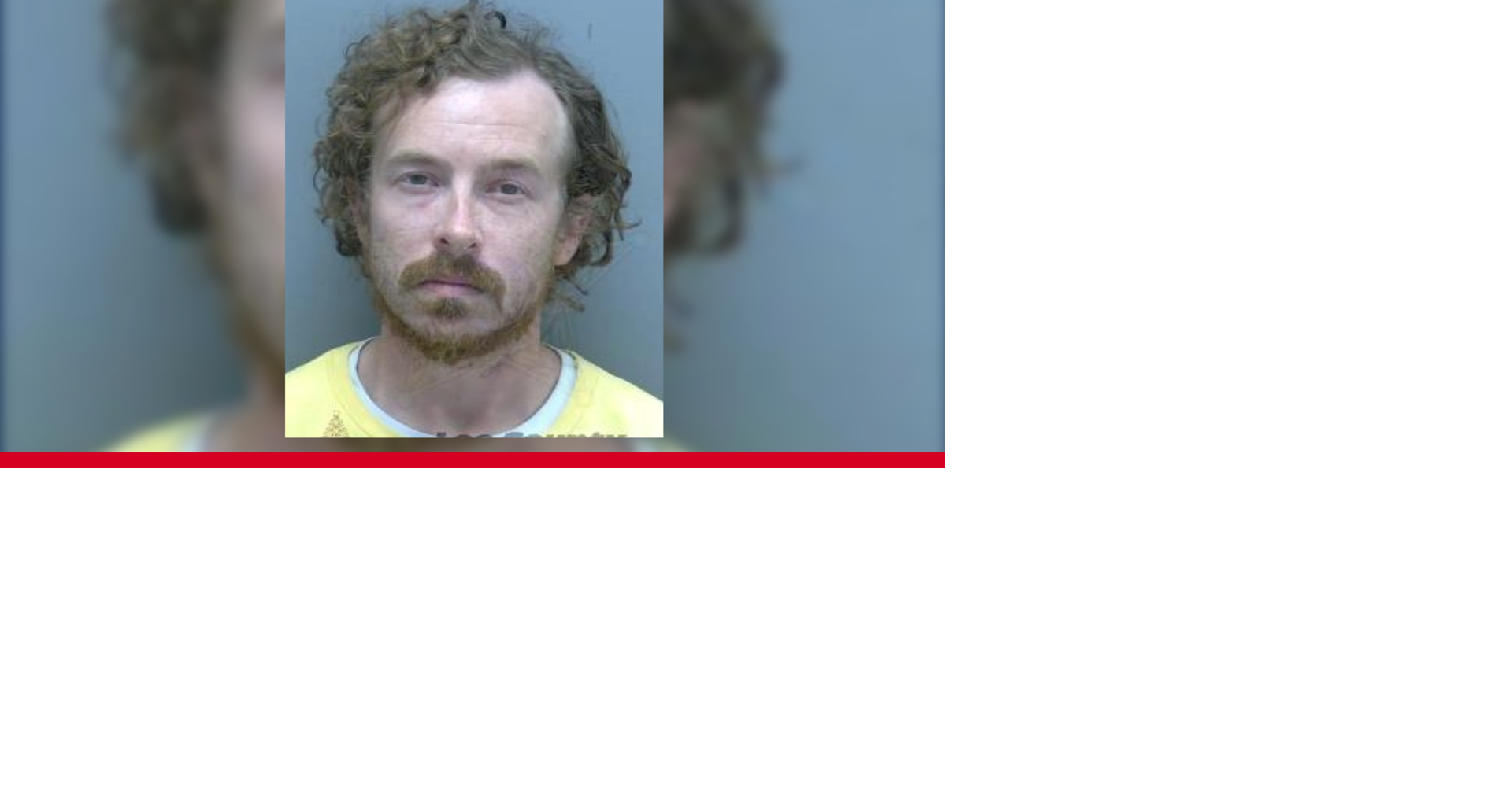 Cape Coral Man arrested and charged with over 90 counts of fraud | Lee ...