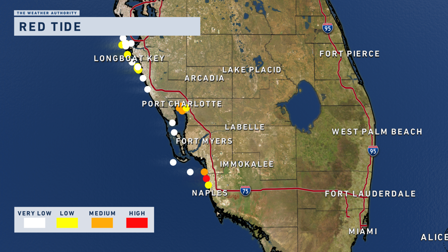 Red tide blamed for bird and fish kills in SWFL | Lee County | winknews.com