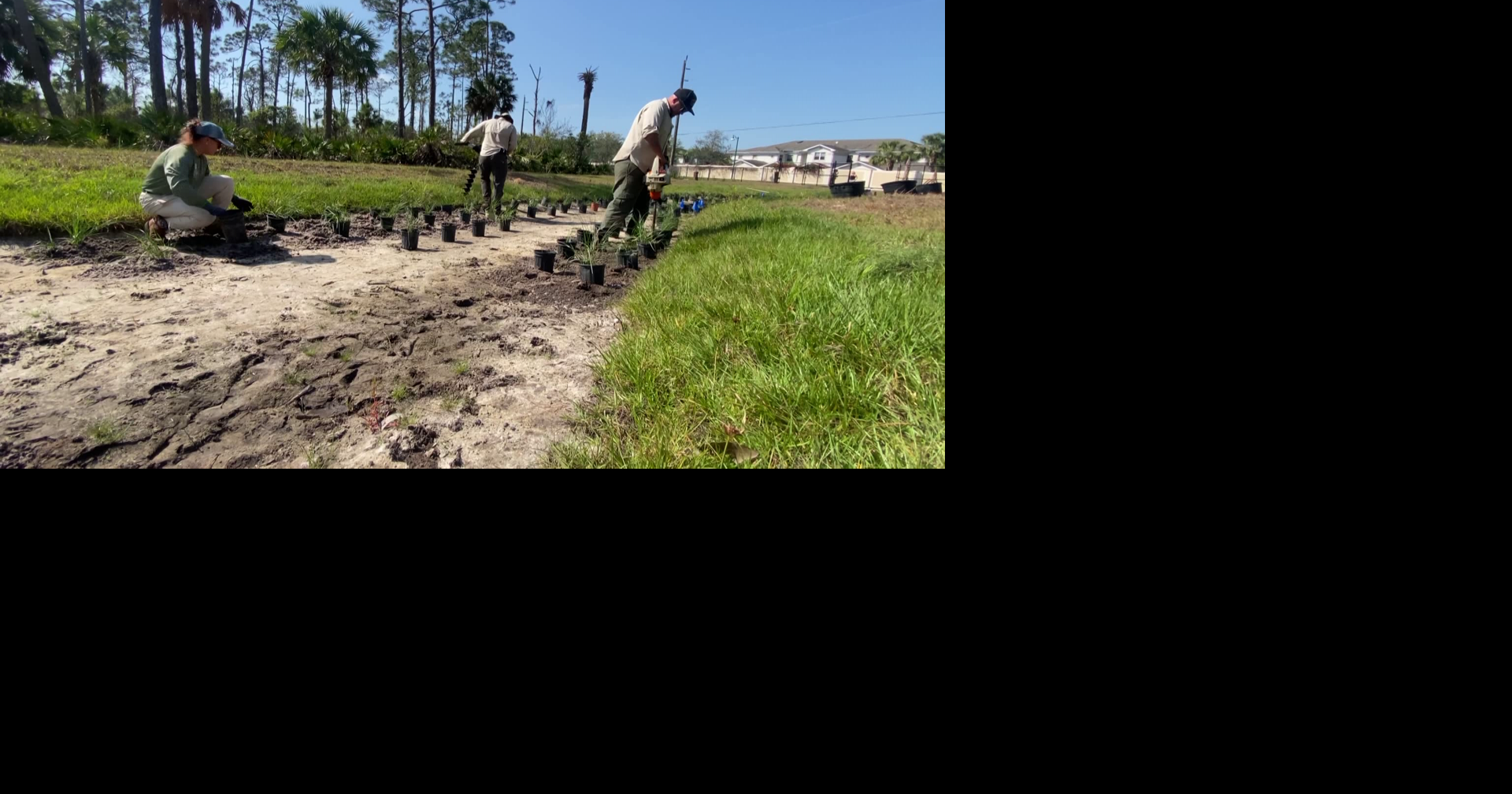 Naples Botanical Garden creates floral swale for parking lot runoff ...