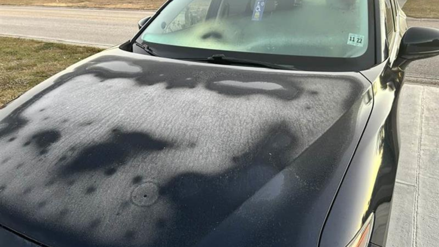 Yes, it gets cold here: Frost spotted in Southwest Florida | Weather ...