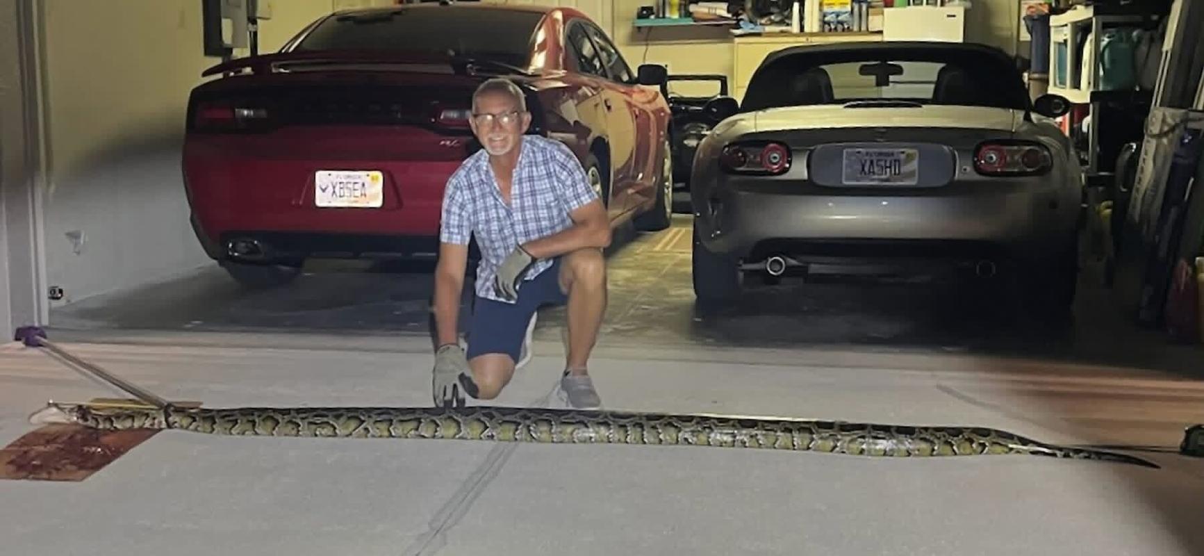 12-foot Burmese python spotted in Charlotte County neighborhood ...