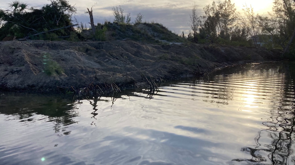 Cape Coral neighbors demand answers after mangroves cleared near ...