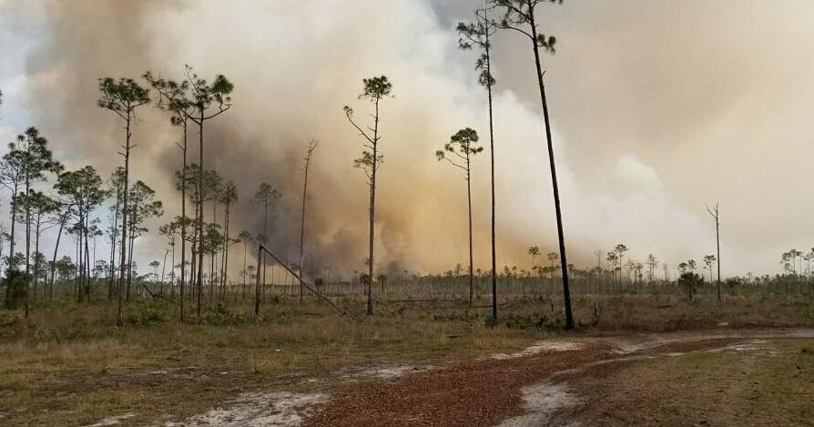 Smoke, fires continue across parts of SWFL | Collier County | winknews.com