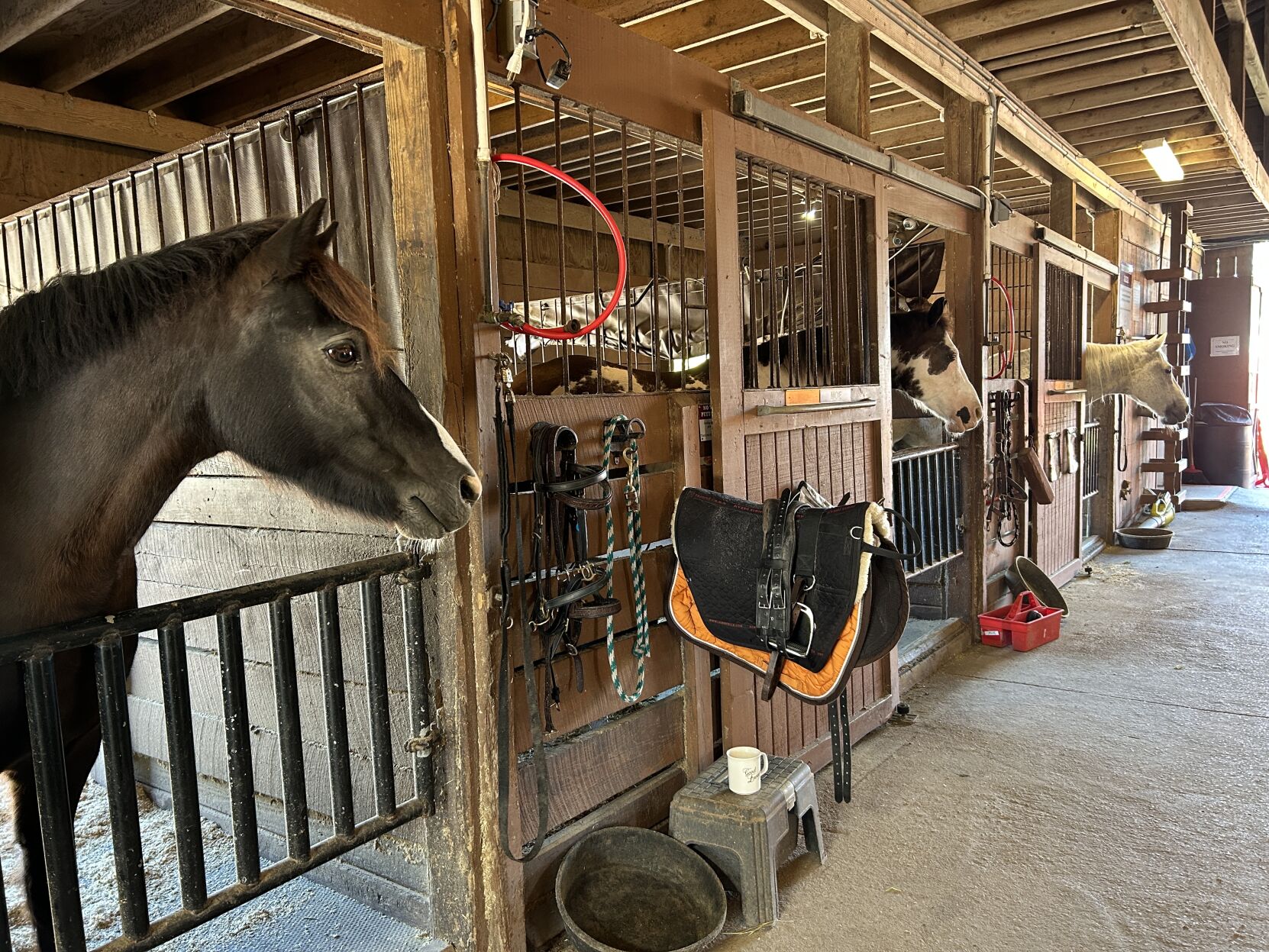 Saddle Up for the Bootstrap Boogie Barn Dance | Collier County ...