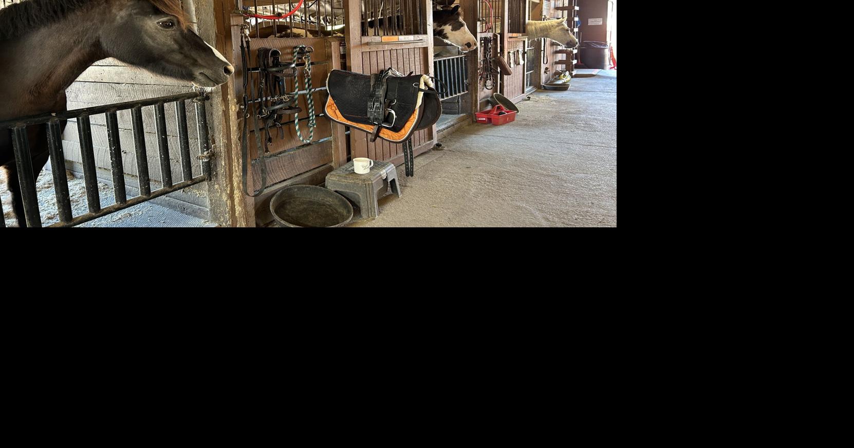 Saddle Up for the Bootstrap Boogie Barn Dance | Collier County ...