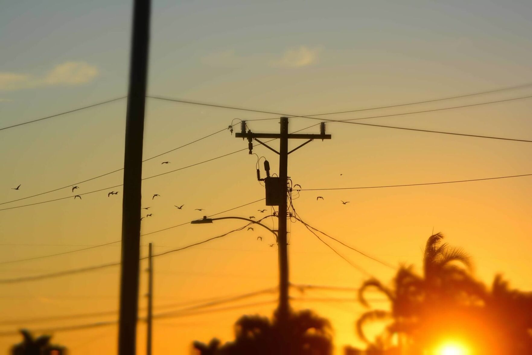 WINK WEATHER WATCHERS. 1-20-26 | Weather Watcher Photos | winknews.com