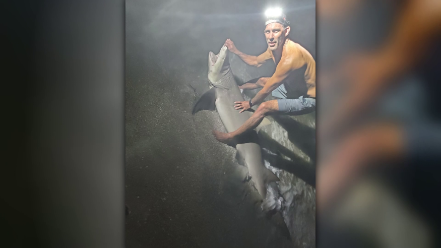 fishing shark attack