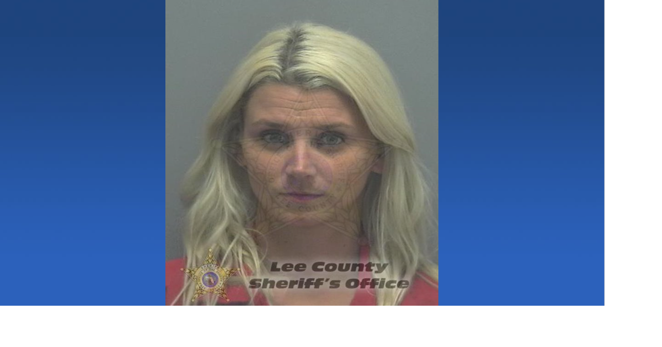 ‘Lights for Layla’ creator pleads guilty, will serve six months in jail ...