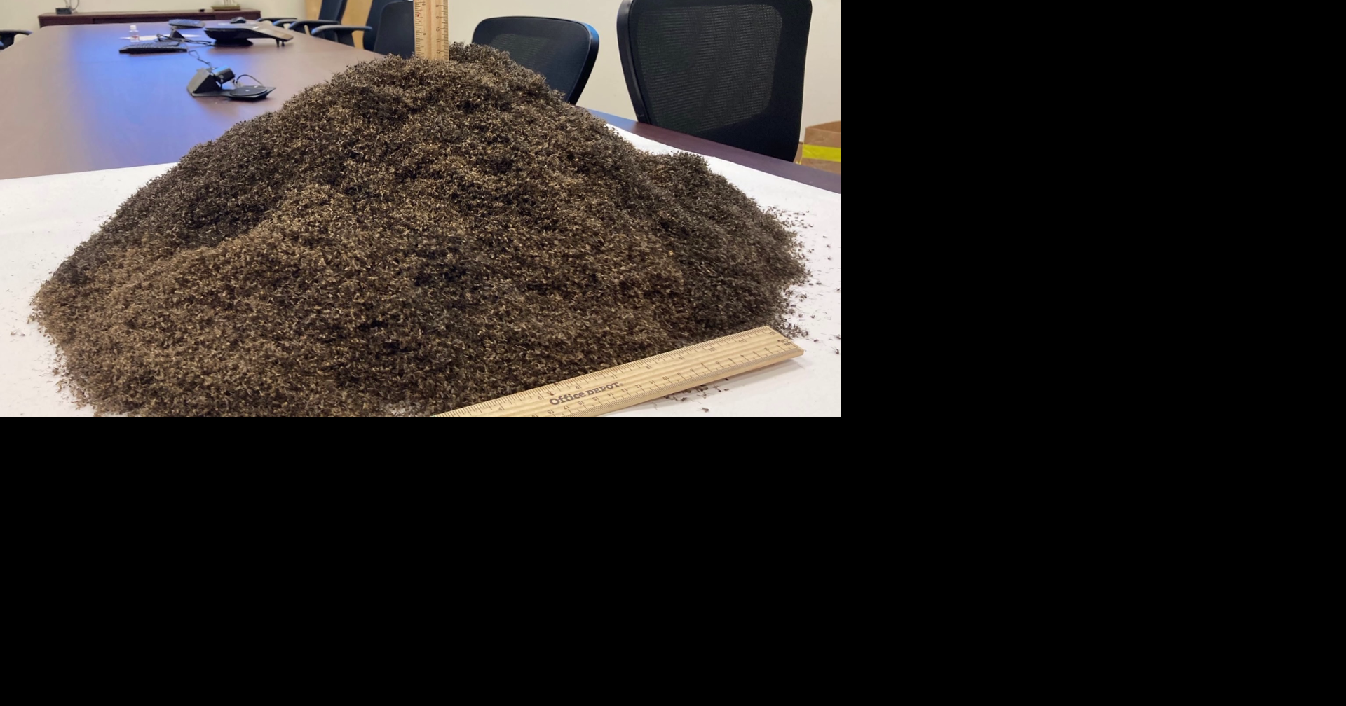 Lee County Mosquito Control traps a million mosquitos | Lee County ...