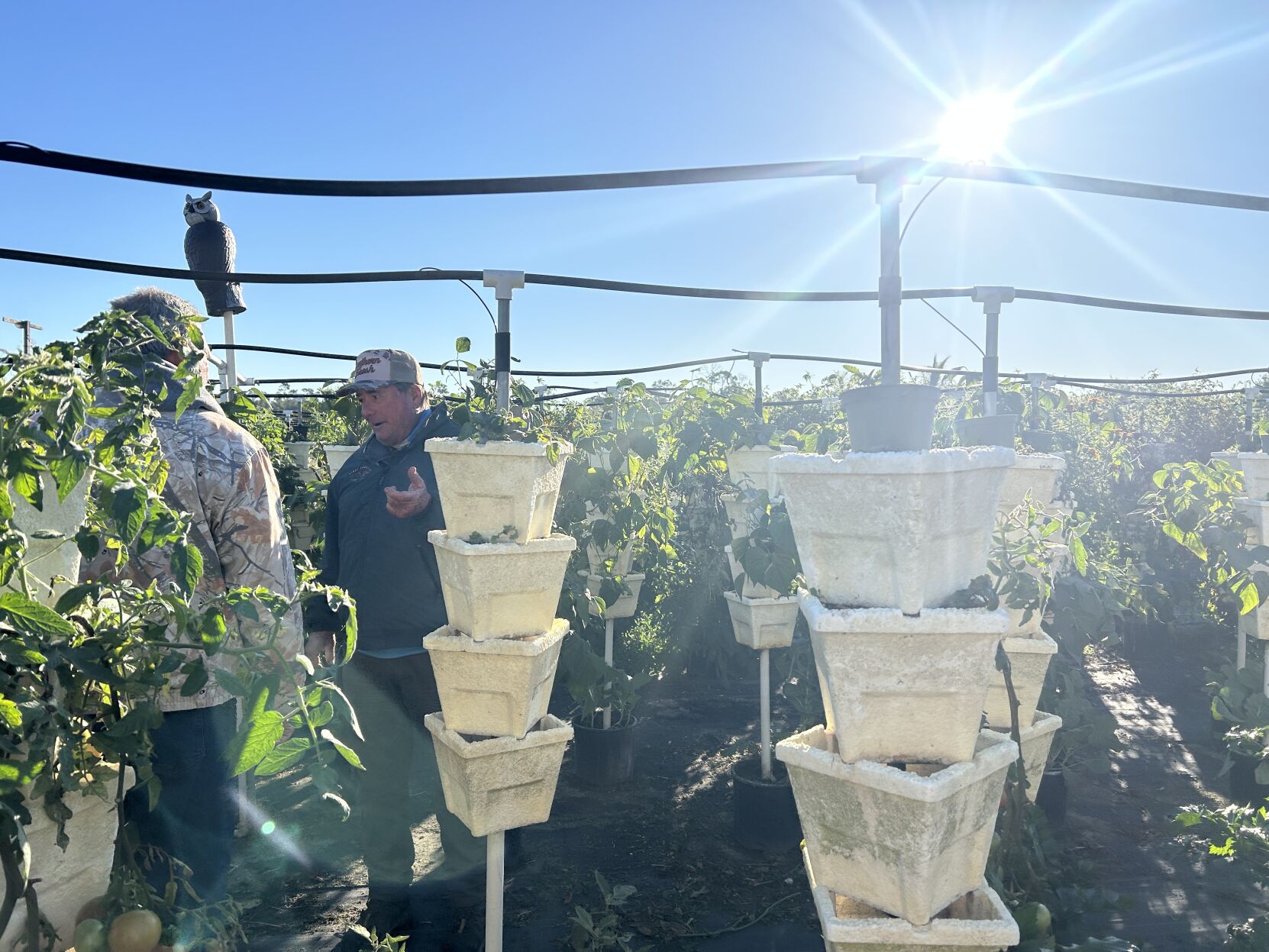 Southern Fresh Farms Grows Into Its Next Chapter | WINK Stop | winknews.com