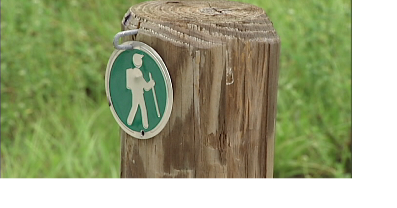 Lee County creates two-tiered system for Conservation 20/20 land | Lee ...