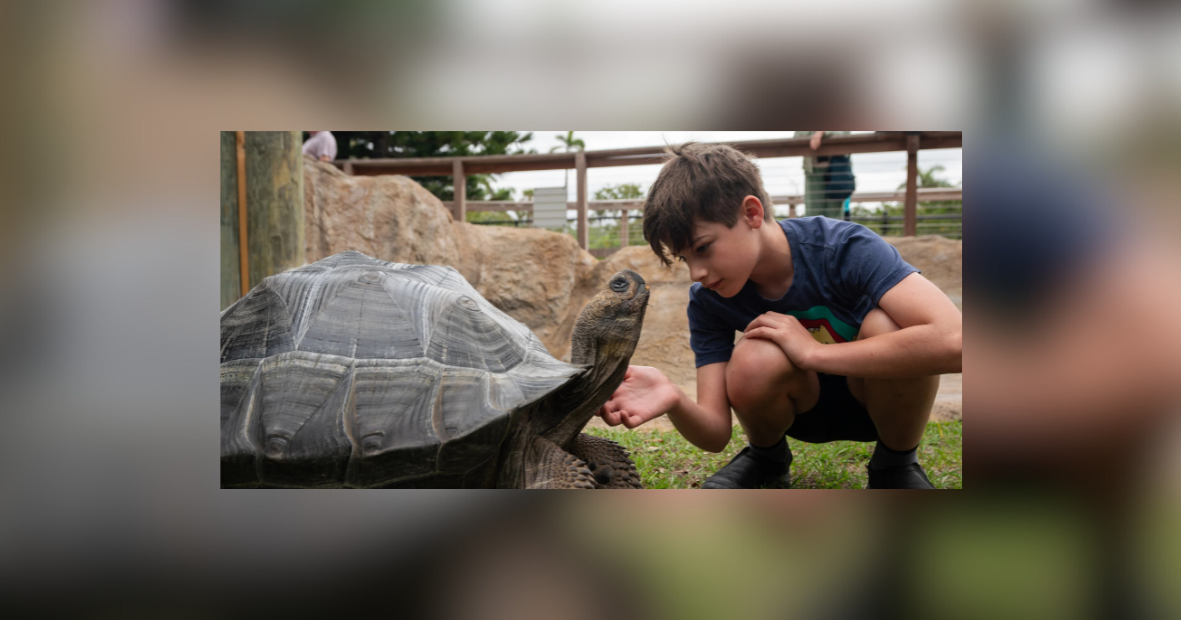 Naples Zoo reintroduces ‘Wild Encounters’ with Galapagos tortoises ...