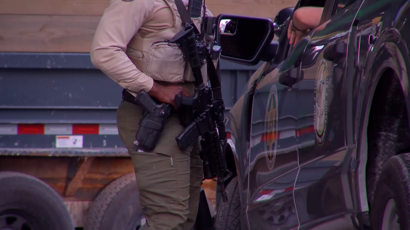 FWC kills 3 bears after deadly attack near Big Cypress, Collier County ...