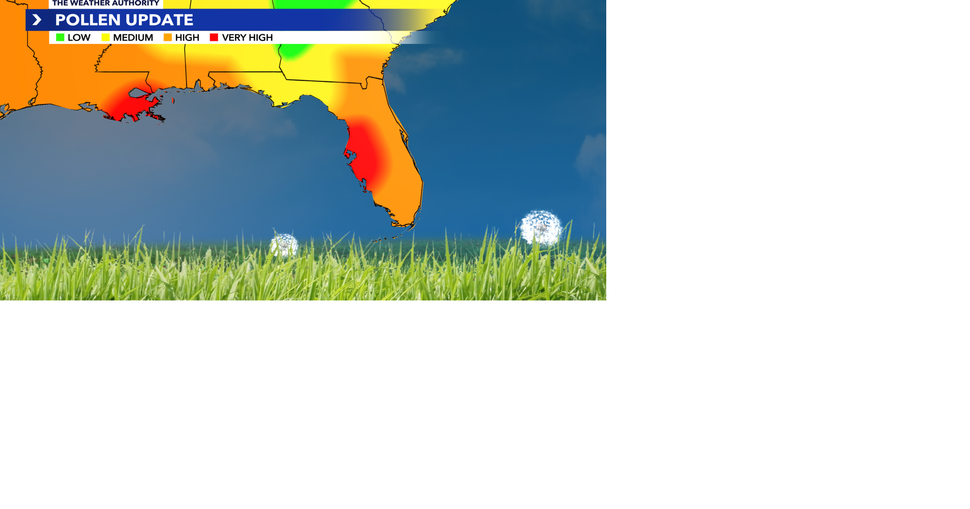 Ahchoo! High pollen levels are peaking across Southwest Florida ...