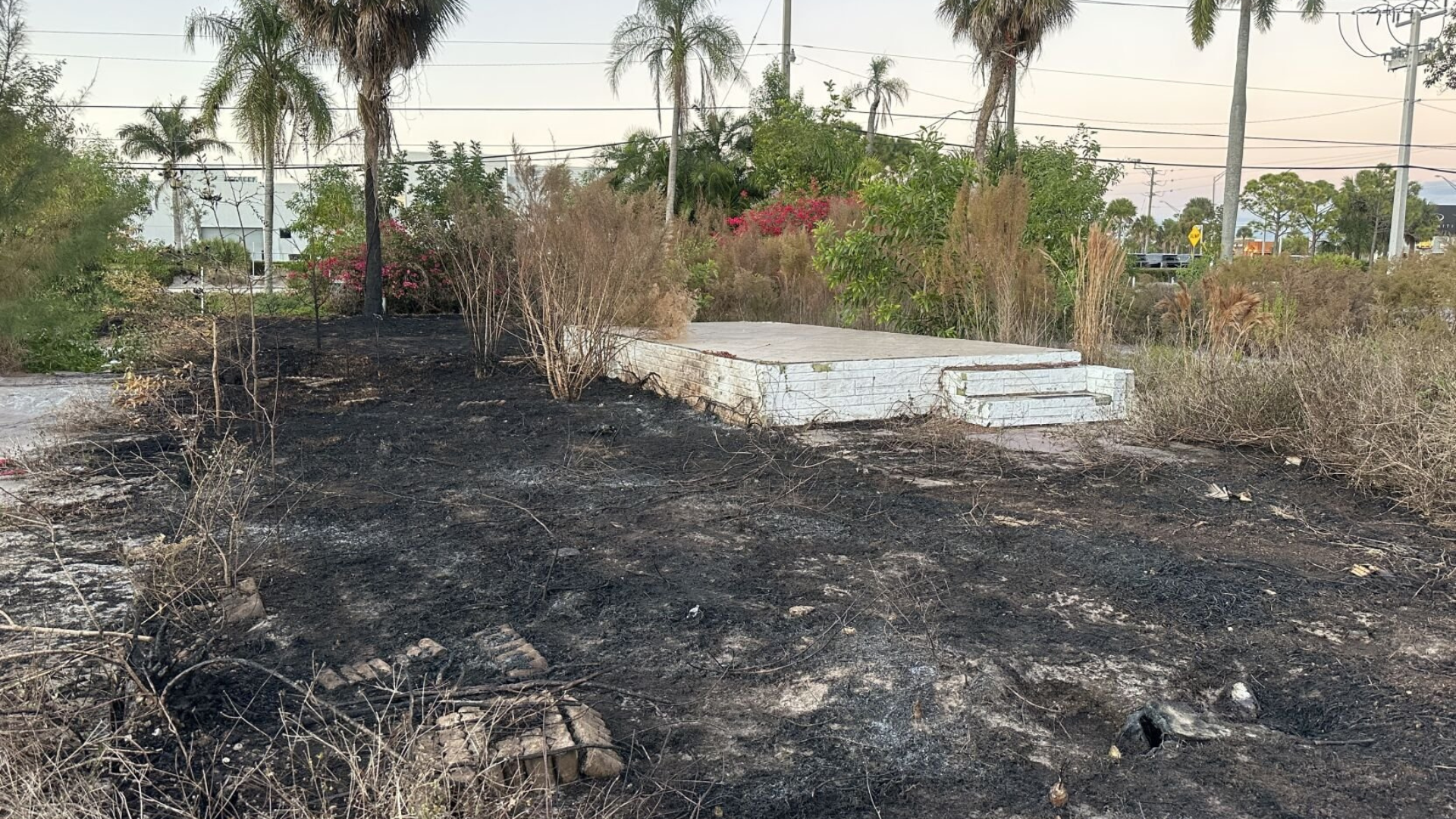 Man accused of setting multiple brush fires in Fort Myers | Lee County ...