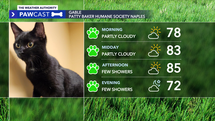 Warm Sunday Before Major Cool Down this Week | Weather Explainers ...