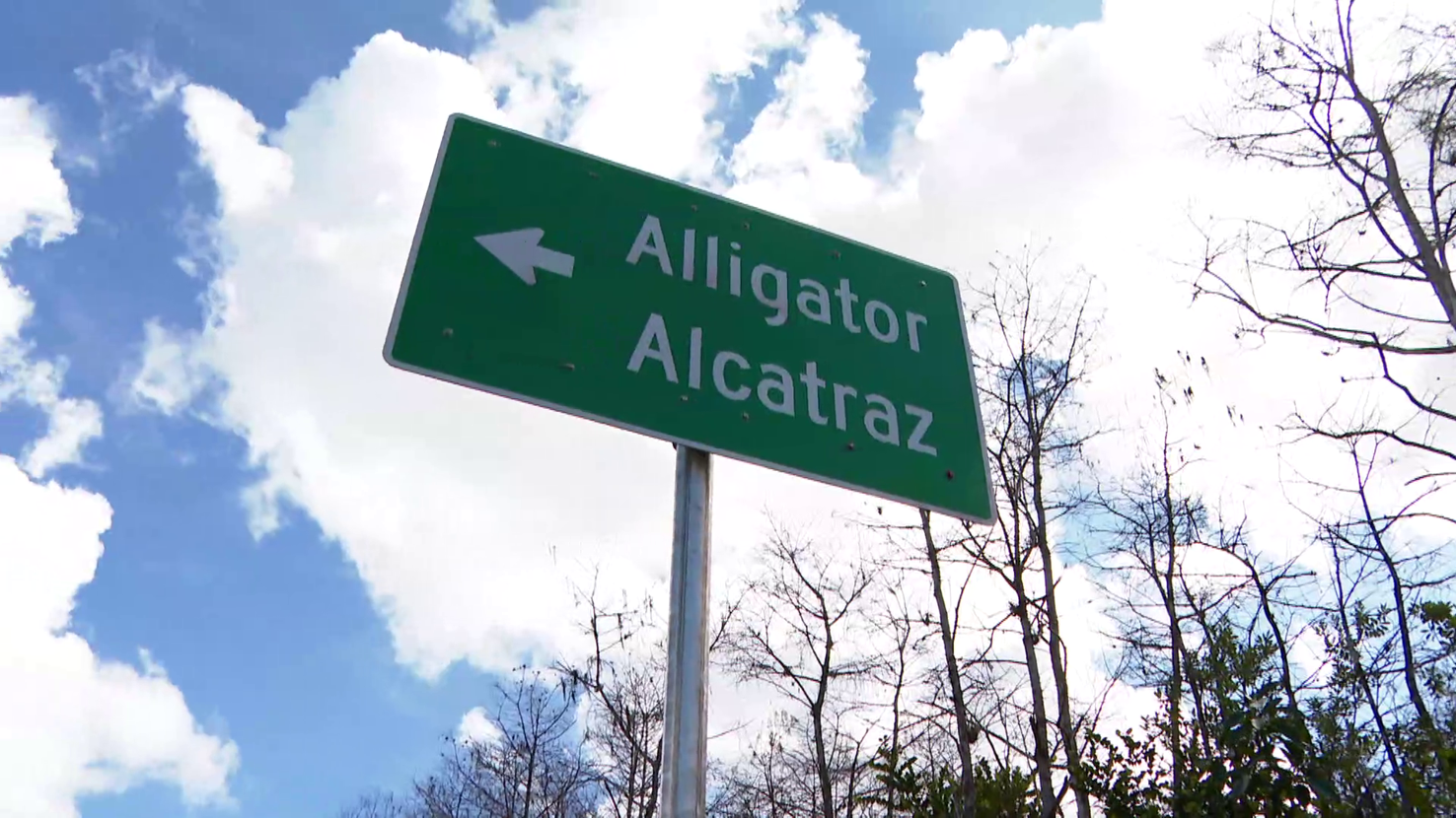 ICE relocates detainees from Alligator Alcatraz, citing hurricane ...