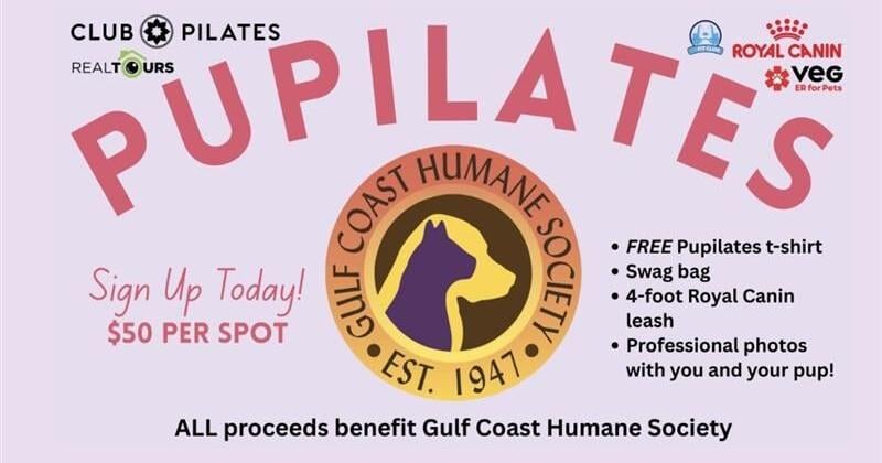 From Pupilates to Pet Adoptions, A Paw-fect Weekend at Edison Mall ...
