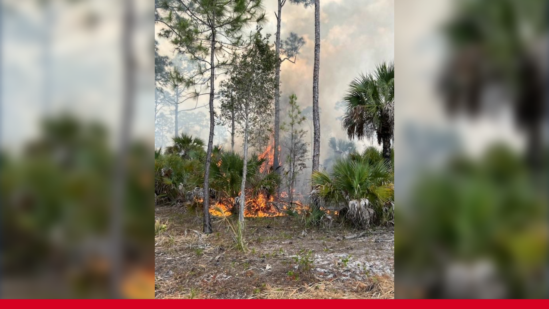 WINK | News and Weather in Southwest Florida