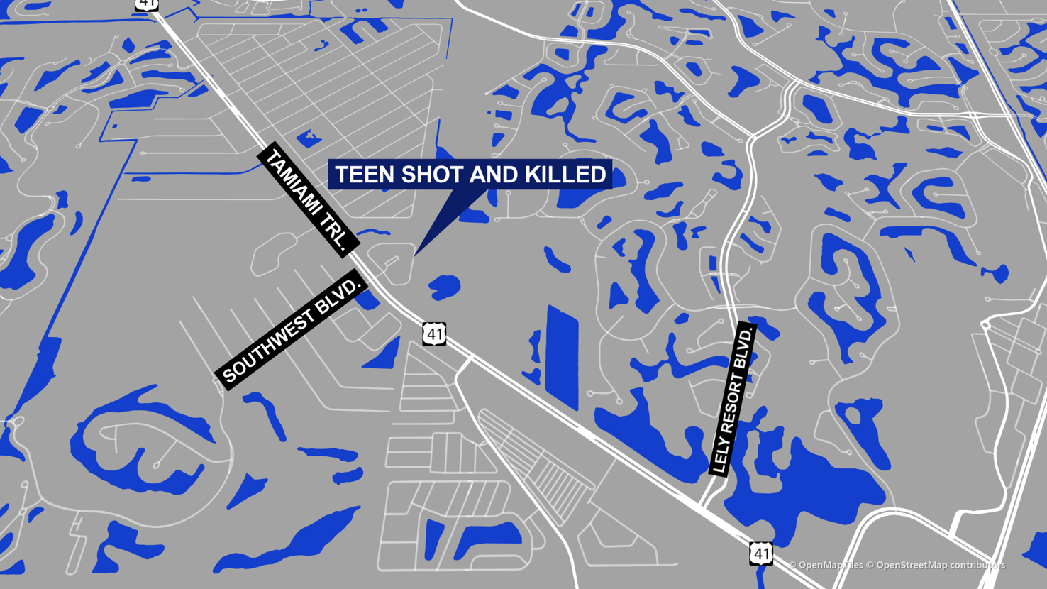 911 call released of accidental shooting of Naples teen | Collier ...