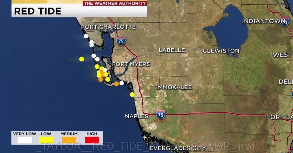 Some SWFL beaches still seeing higher red tide concentrations | News ...