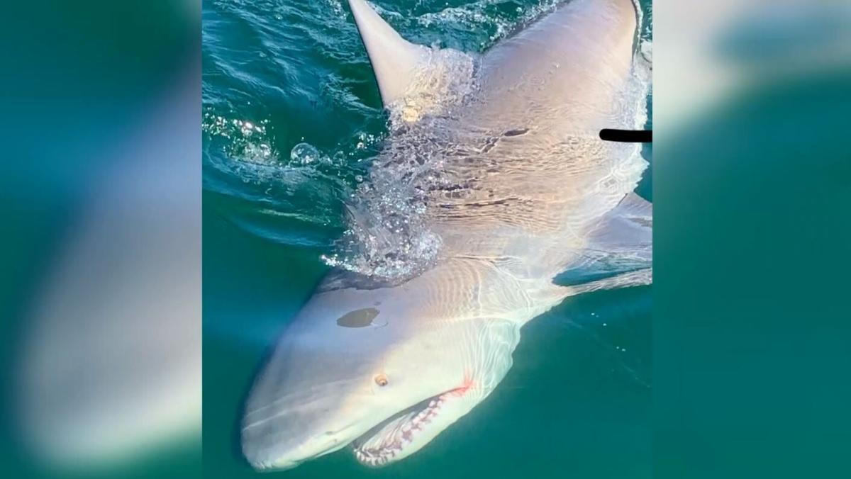 WINK | News and Weather in Southwest Florida