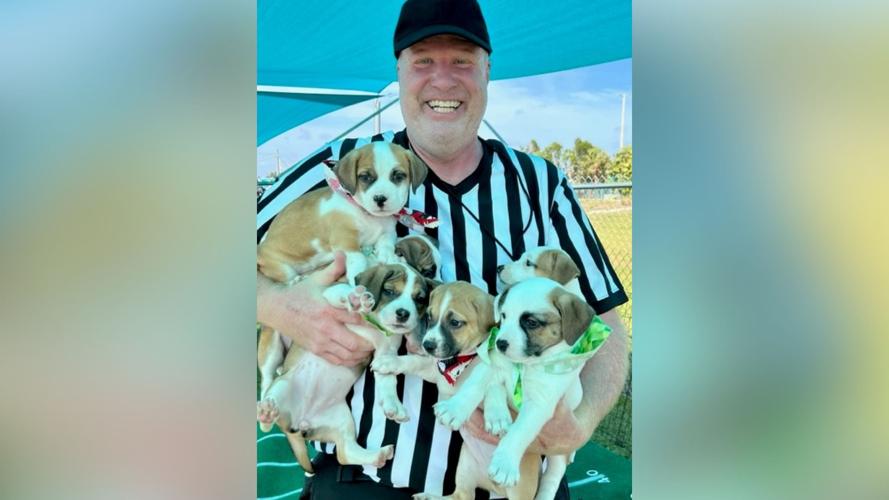Move over, Super Bowl LIX–the Puppy Bowl is coming to Cape | Lee County ...