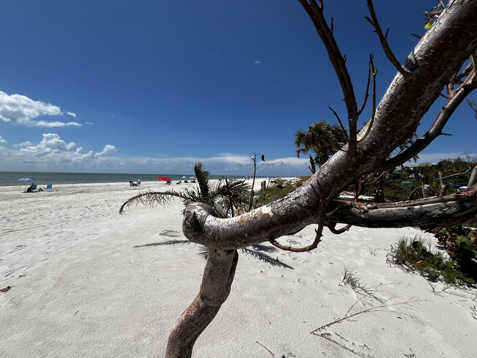 What beaches are experiencing red tide issues now? | Lee County ...