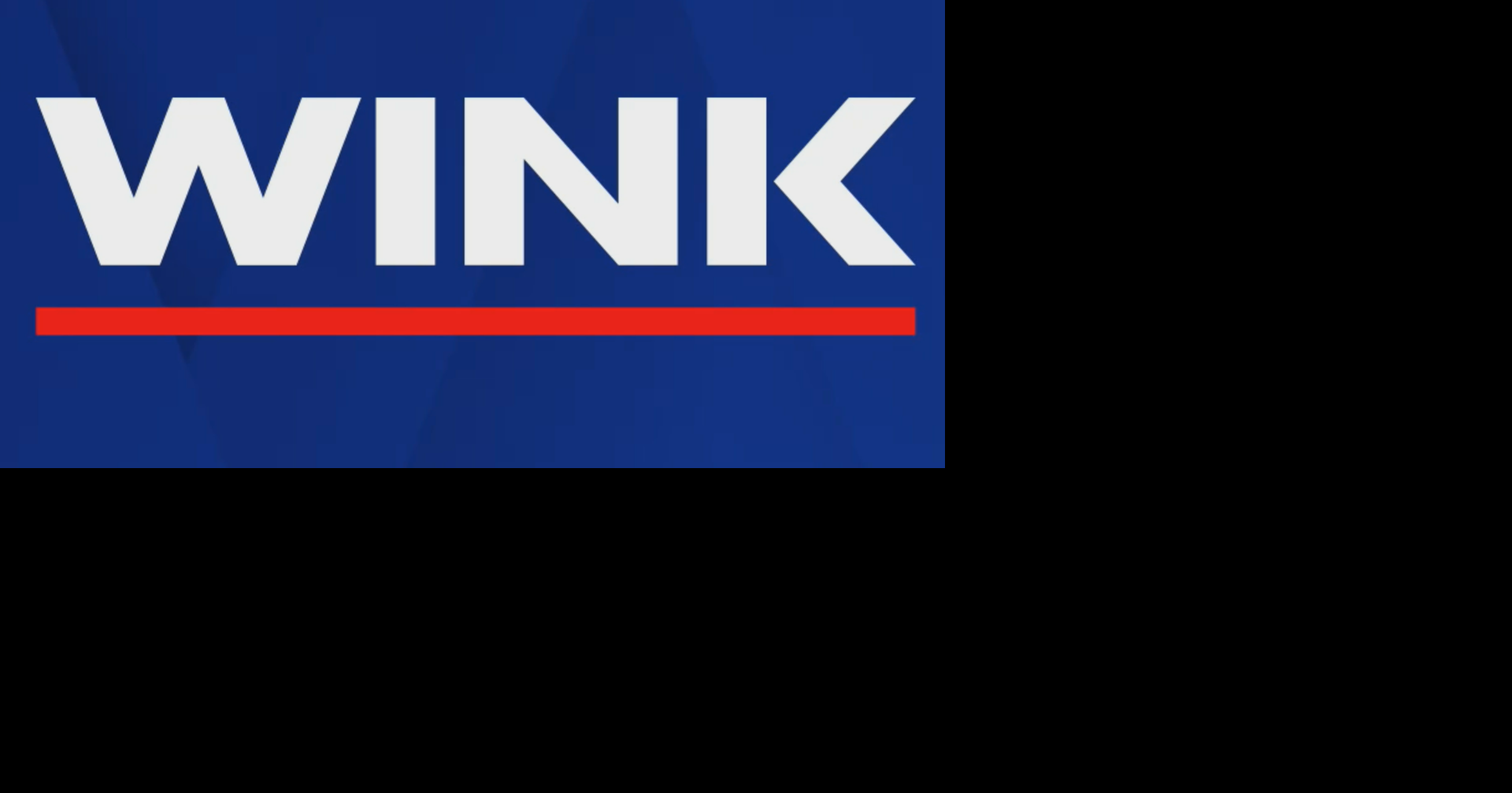 WINK in a Blink: The Top Stories of 2025