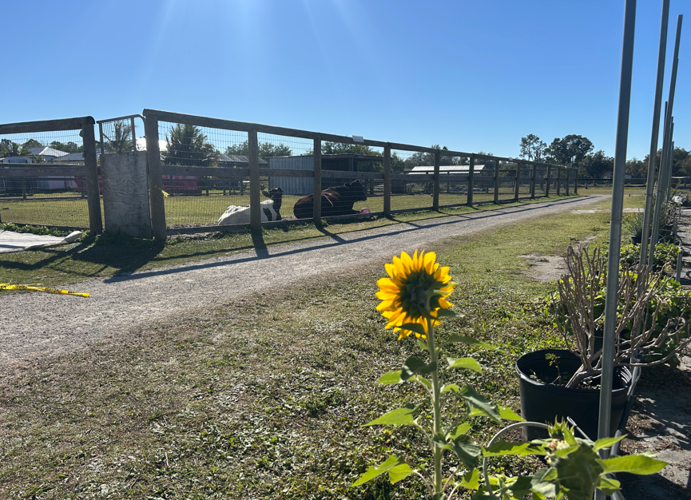 Southern Fresh Farms Grows Into Its Next Chapter | WINK Stop | winknews.com