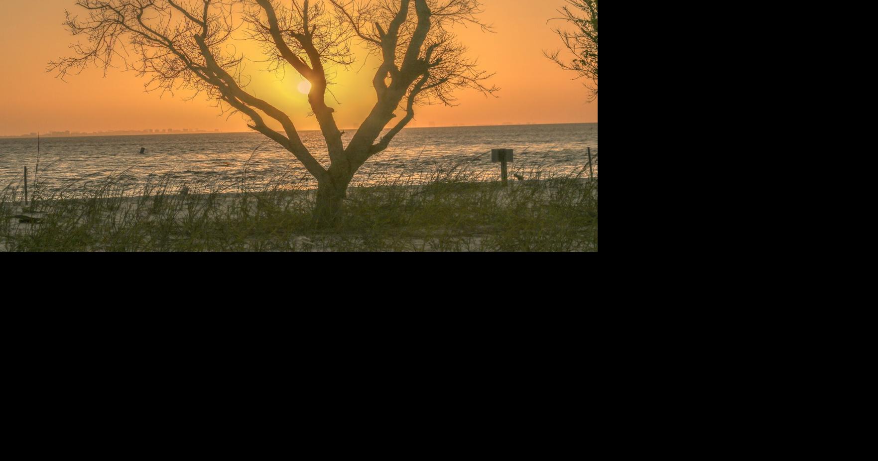 WINK WEATHER WATCHERS. 12-23-25 | Weather Watcher Photos | winknews.com