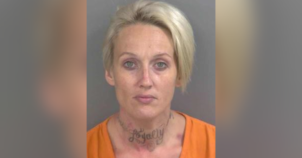 Collier County woman arrested for shooting another woman in the face ...