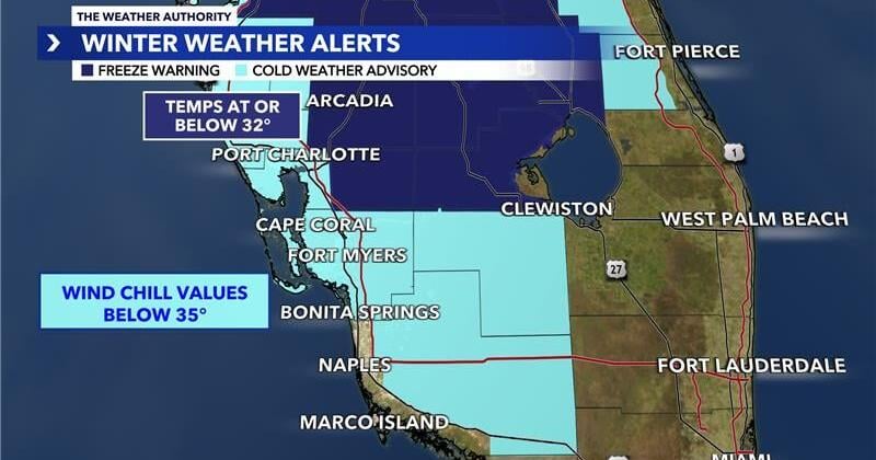 Prolonged cold snap grips Florida: Freeze warnings, fierce winds, and a ...
