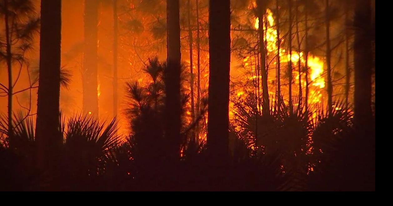 Collier wildfire burns through the night | Collier County | winknews.com